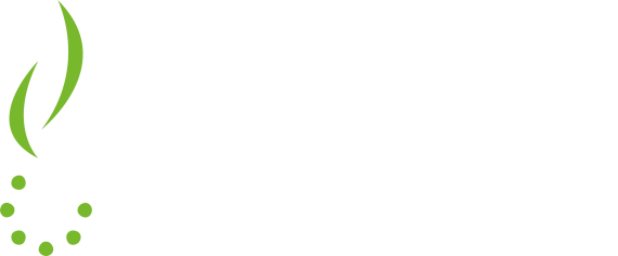 Architectural Details for Sustainable Design | Green Roof Solutions